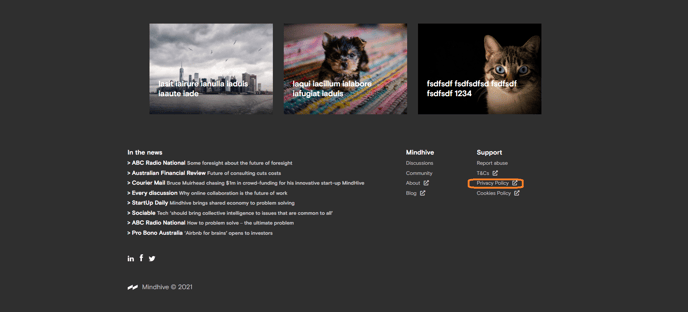 How to access Mindhive privacy policy